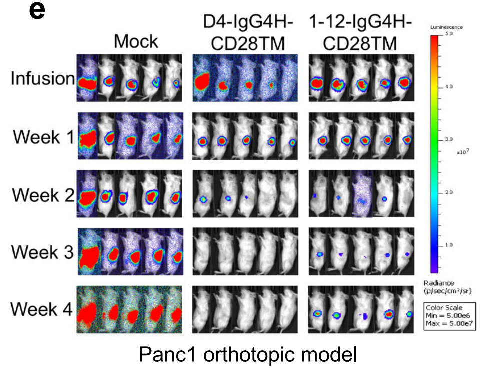 Revvity IVIS活体成像助力纳米抗体的靶点筛选及开发-上海玮驰仪器有限公司