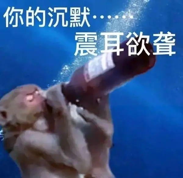 请问大家有没有猴子的表情包？ - 知乎