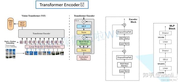 Vision Transformer(ViT)网络详解 - 知乎
