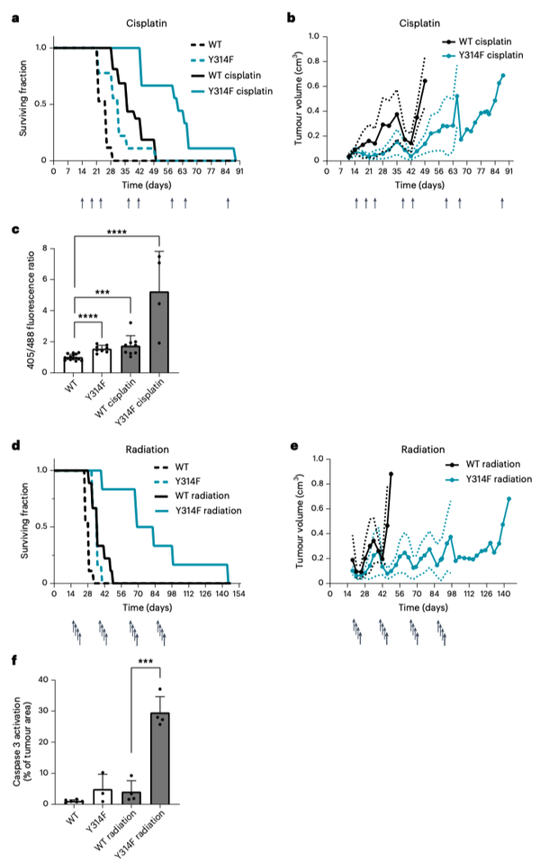 Nature Metabolism丨GAPDH 氧化还原开关保护还原能力并使应激肿瘤细胞存活 - 知乎
