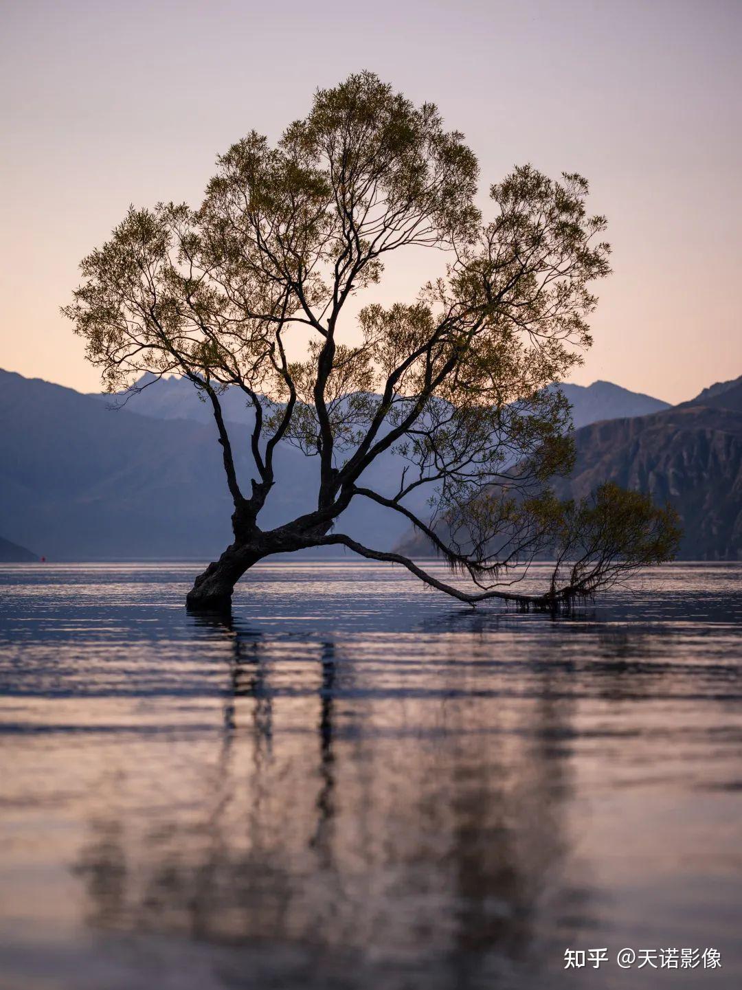 哈苏的「色彩魔法」，细腻惊艳！ - 知乎
