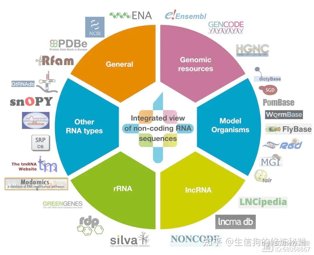 miRNA分析教程（三）miRNA分析常用的数据库 - 知乎
