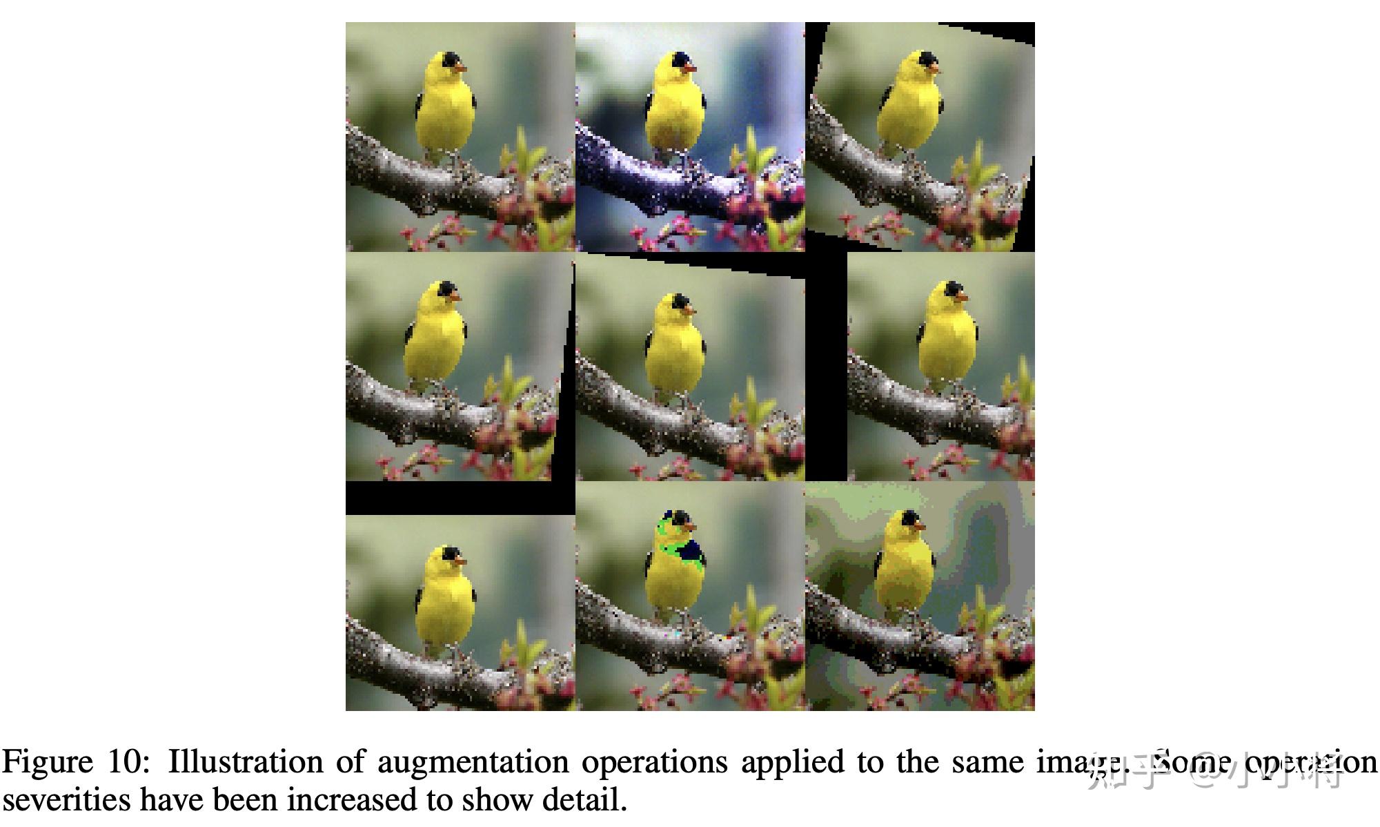 AugMix的原理和实现 - 知乎