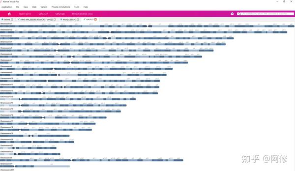 Alamut Visual Plus 个人体验 - 知乎