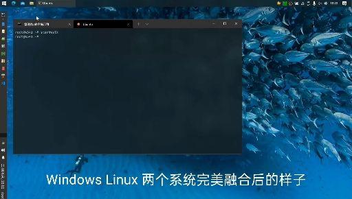 体验WSL图形界面，Windows和Linux完美融合后的样子。非官方wslg - 知乎