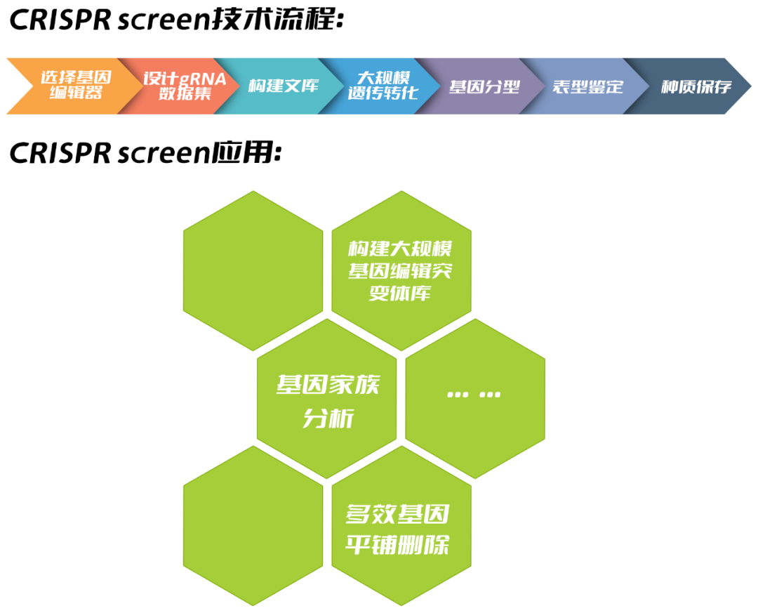 CRISPR screen——极具潜力的高通量筛选技术 - 知乎
