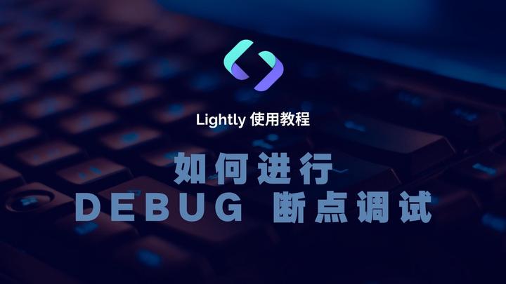 如何用 Lightly 进行 Debug 断点调试？ - 知乎