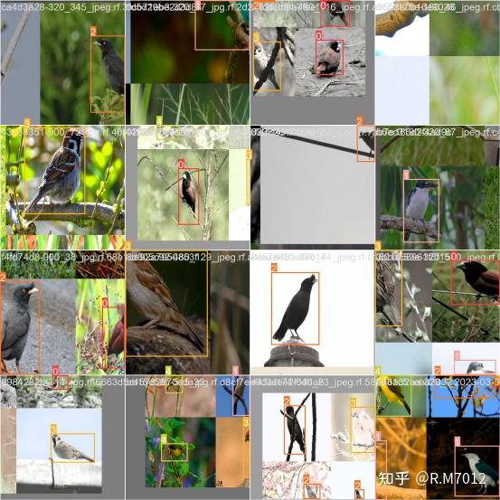 基于深度学习的高精度鸟类目标检测识别系统（PyTorch+Pyside6+YOLOv5模型） - 知乎