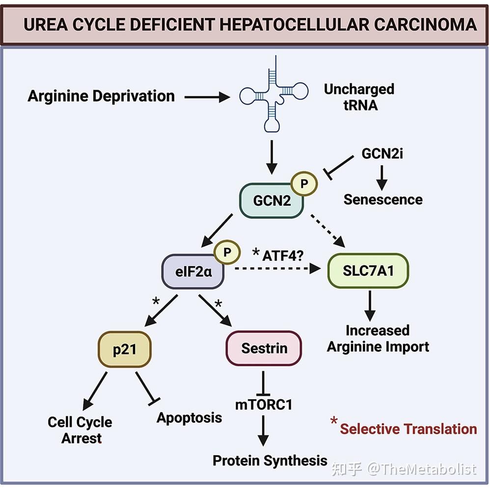 代谢学人--Cell Metabolism 8月刊代谢精选 - 知乎
