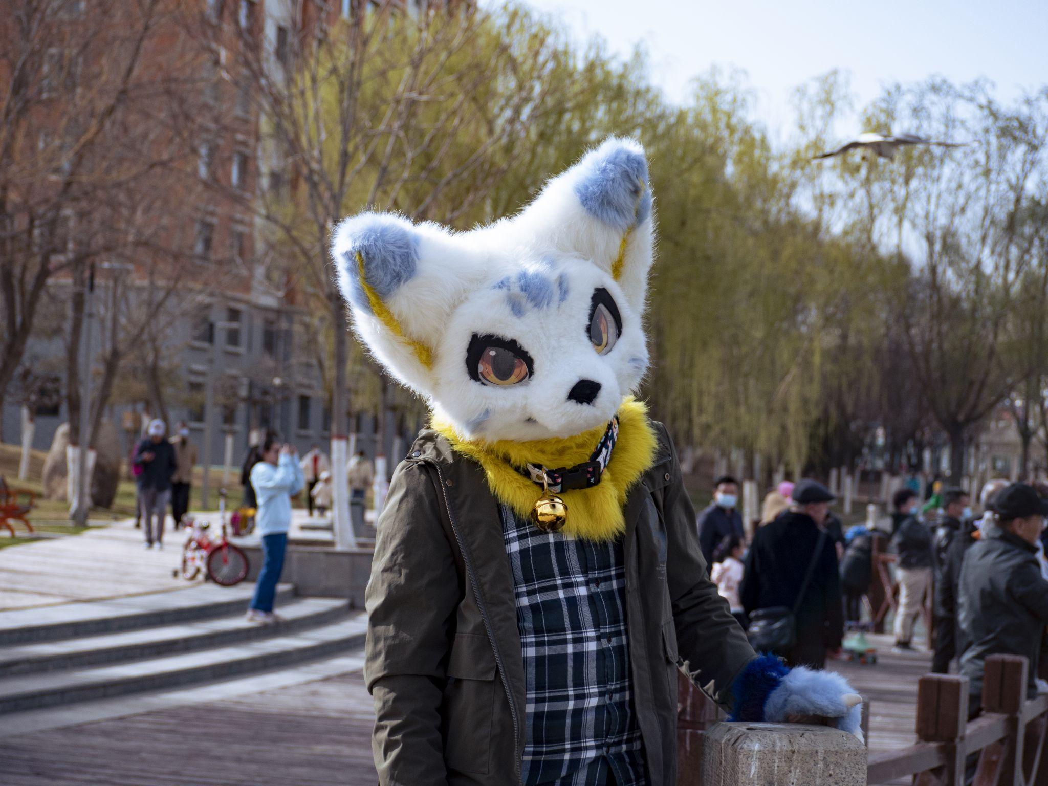 问个问题 furry 在国内是不是口碑很差 为什么会这样? - 知乎