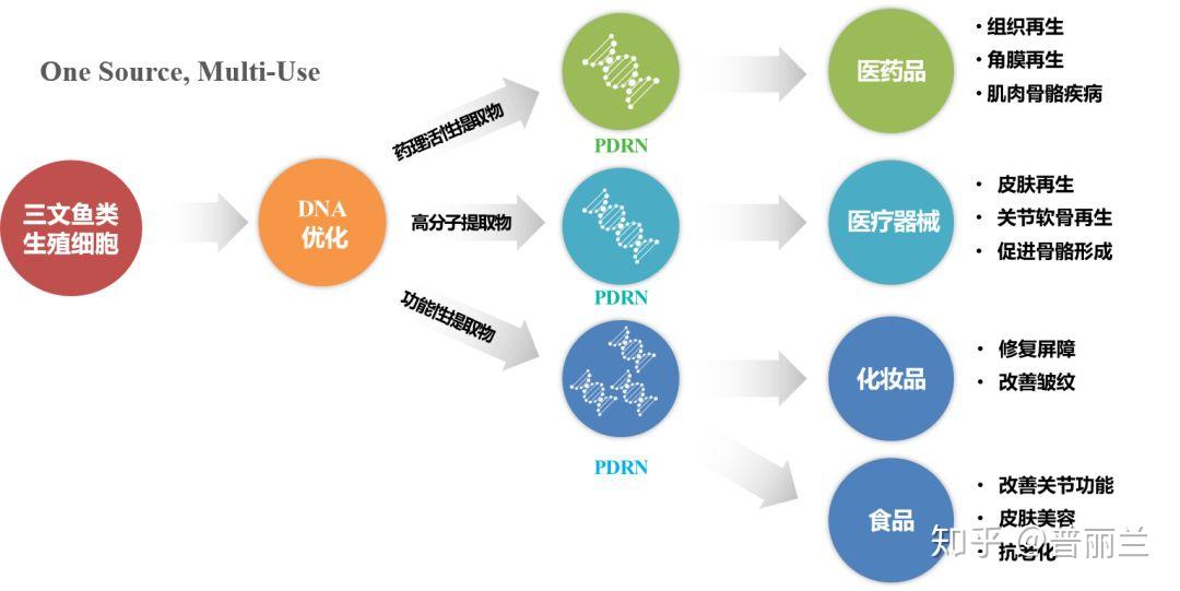 什么是PDRN？ - 知乎