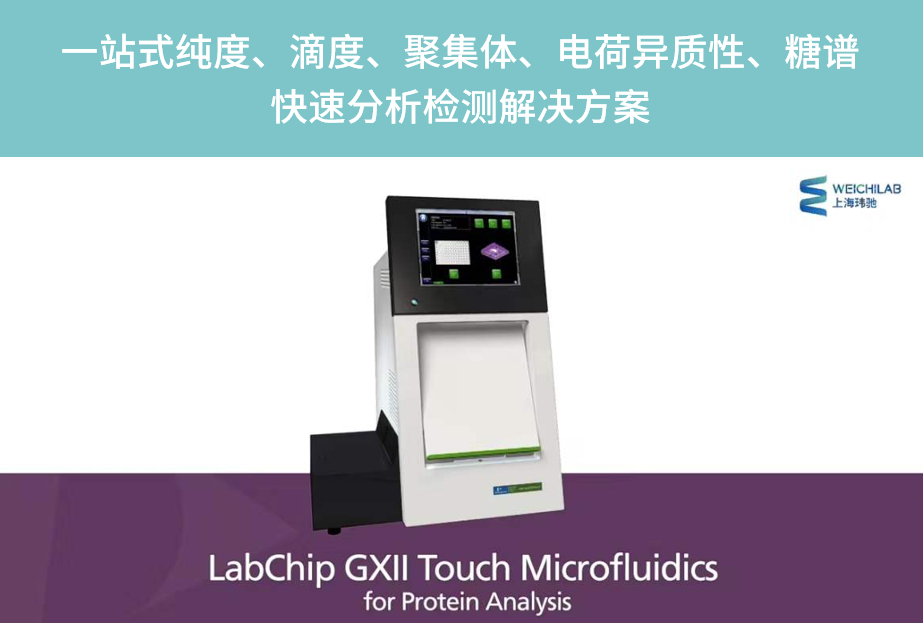 抗体工艺全方位持续优化，待测样品数量巨大？LabChip有办法-上海玮驰