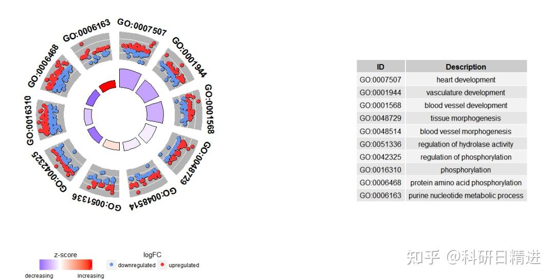 如何使用GOplot画一张精美的GO分析图 - 知乎