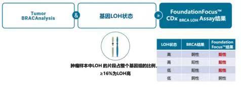 肿瘤治疗中同源重组修复缺陷（HRD）检测的意义与价值 - 知乎