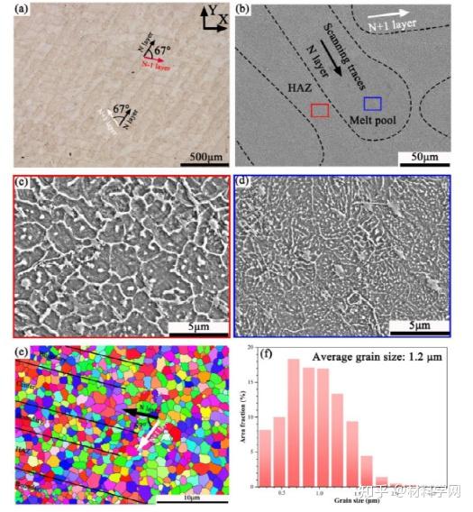 西安交大镁合金顶刊：增材制造AZ91D镁合金，性能堪比锻造！ - 知乎