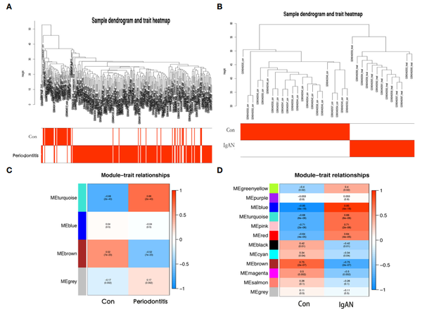 双疾病分析的链接纽带是什么？免疫和炎症是最重要的途径之一，换两个疾病就能复现8+的纯分析，快来看看吧！ - 知乎