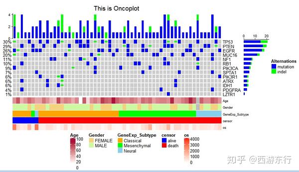 ComplexHeatmap|根据excel表绘制突变景观图（oncoplot） - 知乎