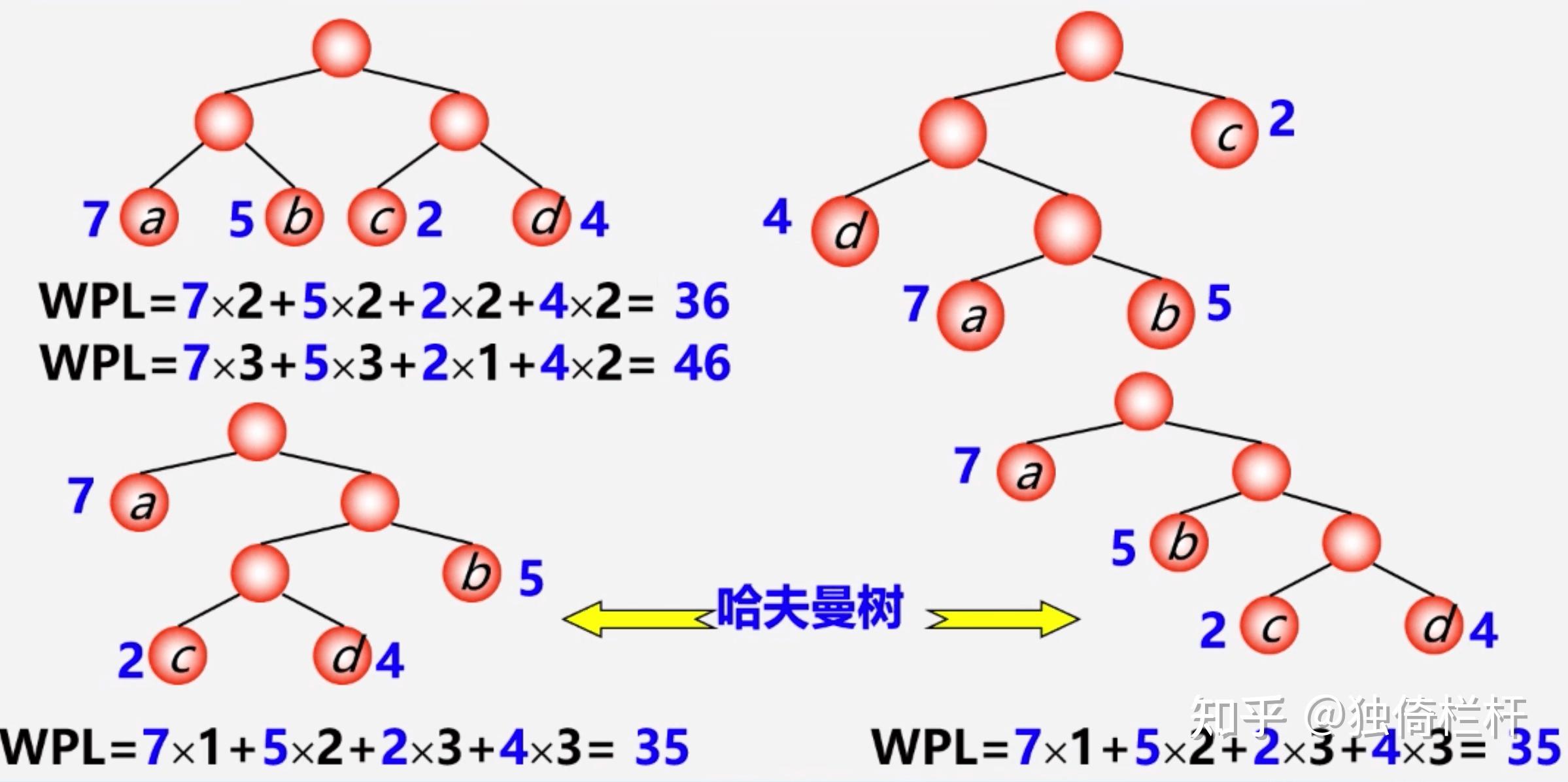 数据结构中的哈夫曼树 考研重点 知乎