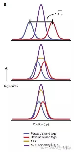 ChIP-Seq综述 - 知乎