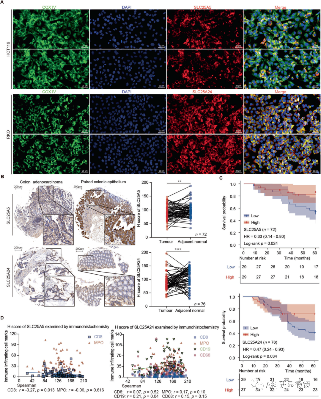 单基因玩腻了？要不试试基因家族？基因家族单肿瘤SCI新玩法！ - 知乎