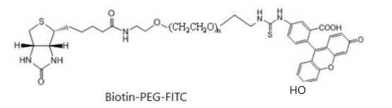 FITC-PEG-Biotin荧光素聚乙二醇生物素产品说明 - 知乎