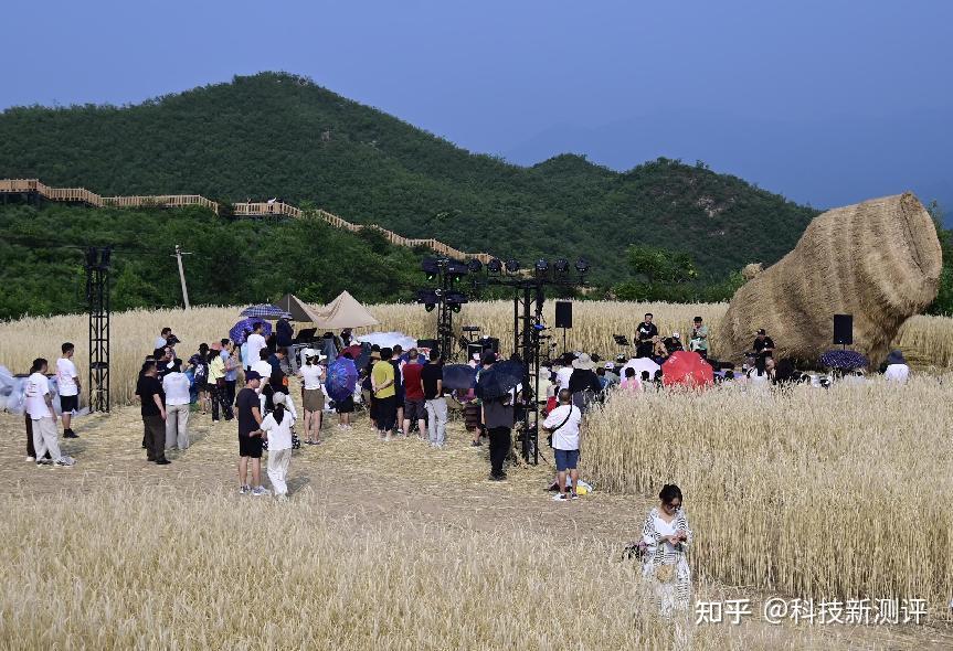与ROBAE福琛共赴夏夜：在溜石港听见麦田的心跳 - 知乎