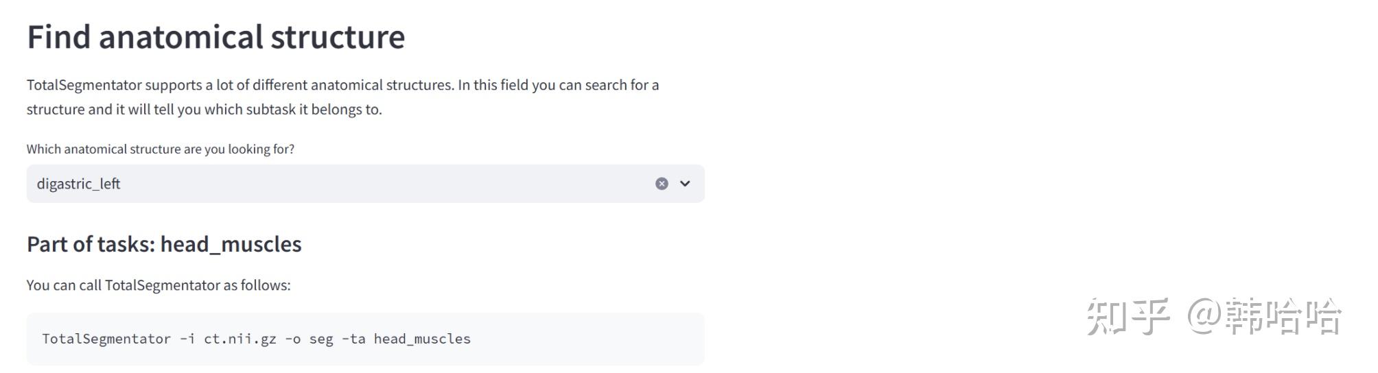 Python版：TotalSegmentator 安装与使用指南 - 知乎