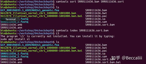fastq、bam文件与测序深度查询 - 知乎