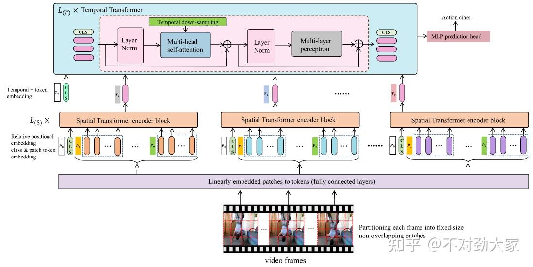 Relative-position embedding based spatially and temporally decoupled ...