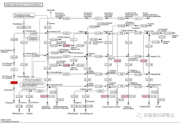 KEGG 通路标记和分类 - 知乎
