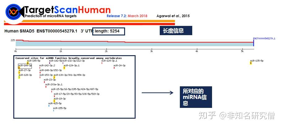 从3分SCI文章分析，miRNA与mRNA相互预测全搞定！ - 知乎