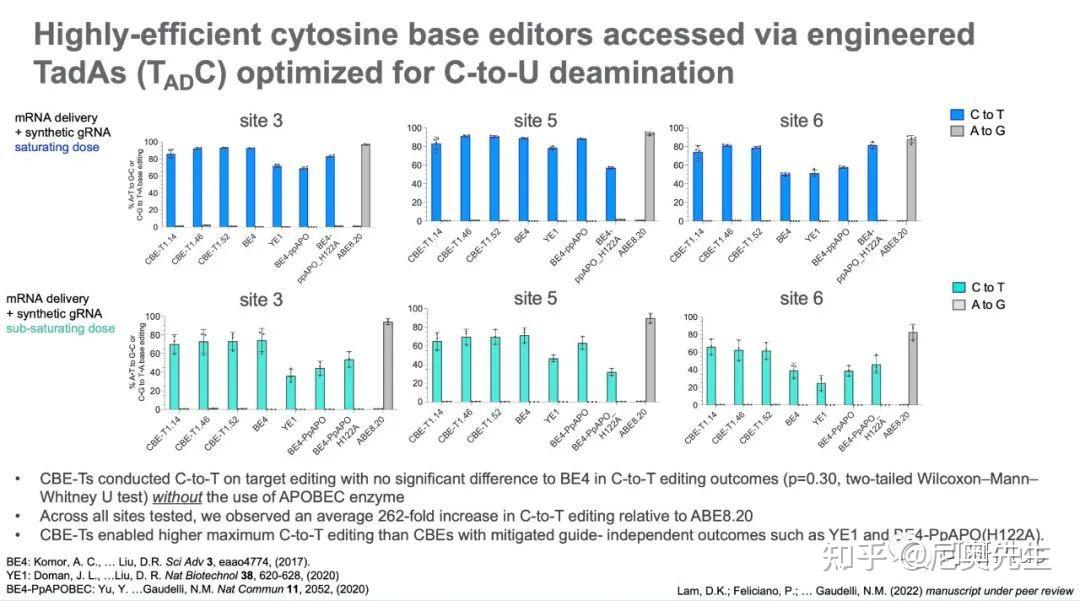 CBE-T：TadA介导的下一代CBE编辑器 - 知乎