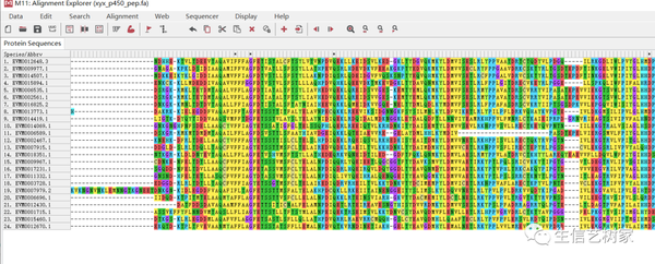 TBtools | 基因家族分析 (进化树、Motifs、结构域) - 知乎