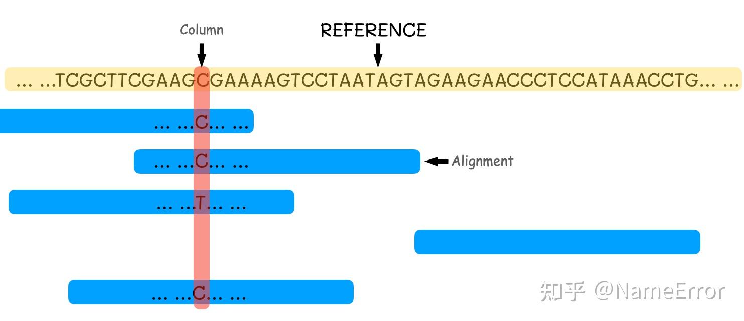 浅析samtools mpileup命令的使用及其对应的Python使用接口（一）（小白友好） - 知乎