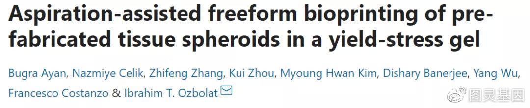 Comm Phy | 利用屈服应力凝胶推进生物组织3D打印 - 知乎
