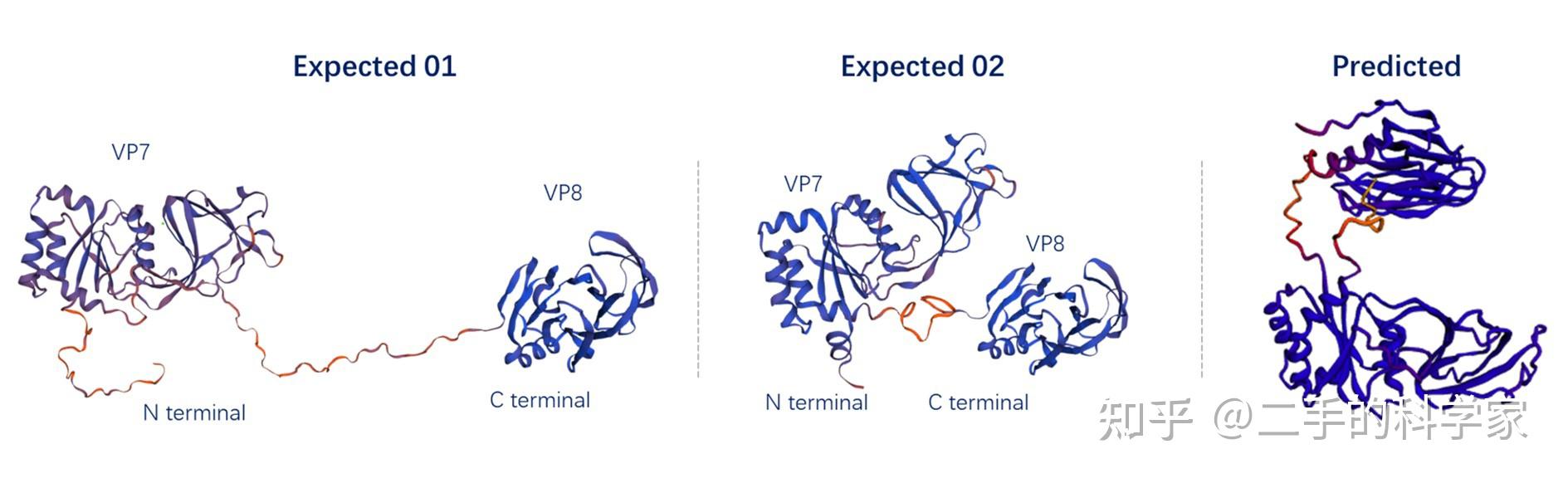 一种可能有一定可行性的重组轮状病毒疫苗抗原设计 - 知乎