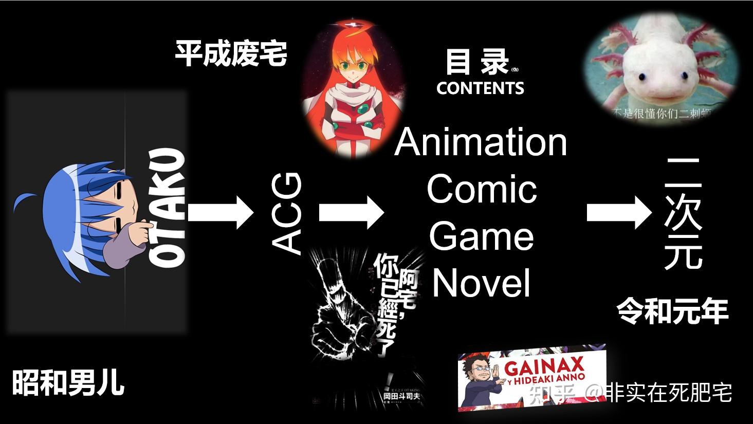 OTAKU 从入门到入土 (一)从OTAKU到二刺螈 - 知乎