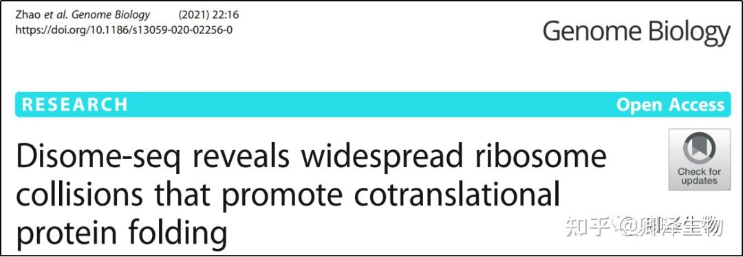 Monosome！Disome！Trisome！Polysome！ - 知乎
