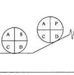 什么是SDCA循环？PDCA与SDCA之间的关系是什么？ - 知乎