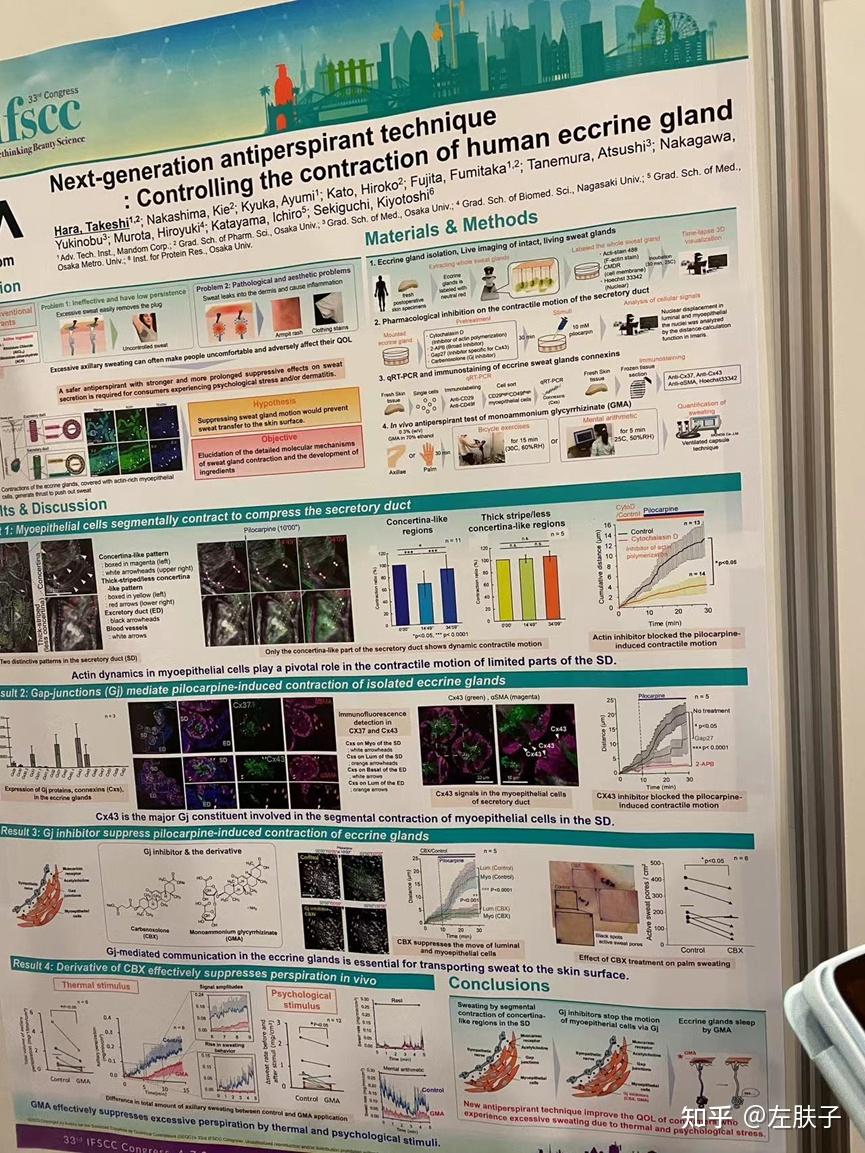 2023年IFSCC论文合集限时分享（文末有福利） - 知乎
