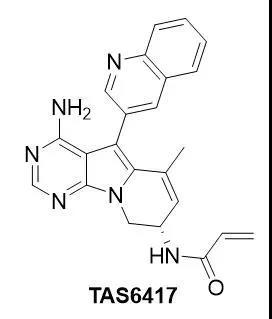 治疗EGFR 20ins的又一悍将——CLN-081（TAS6417） - 知乎
