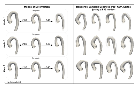 深度学习+血流动力学 - 知乎