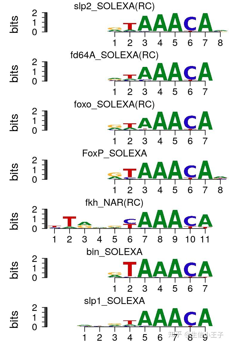 motifStack | 绘制motif序列结构图 - 知乎