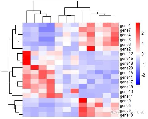 使用pheatmap包绘制热图 - 知乎