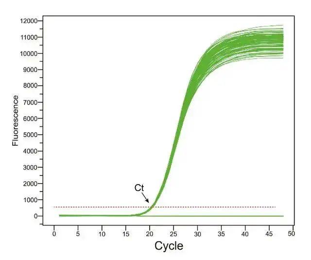 [收藏]qPCR实验的Ct值的合理范围 - 知乎