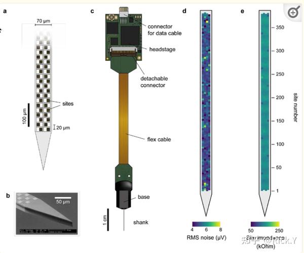 Neuropixel（Nature，2018） - 知乎