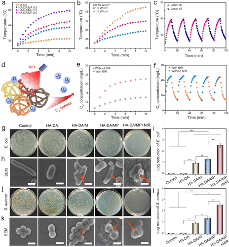 《ACS Nano》可注射水凝胶作为用于糖尿病伤口愈合的温和光热控制氧气释放平台 - 知乎