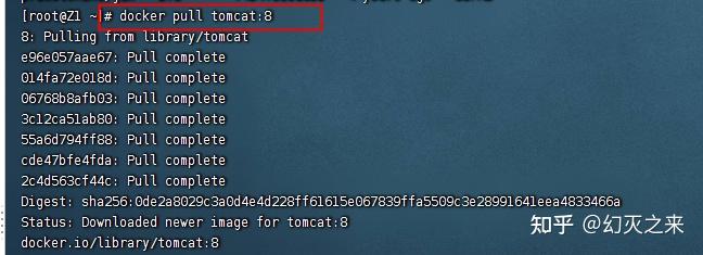 Docker中tomcat的安装挂载（ 知乎