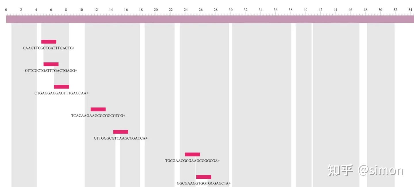 CIDP---适用于所有已测序物种的sgRNA设计软件 - 知乎