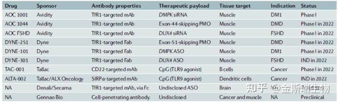 支持siRNA靶向递送与ADC研究，金斯瑞蛋白定点修饰技术成果发表在BIOCONJUGATE CHEM杂志！ - 知乎